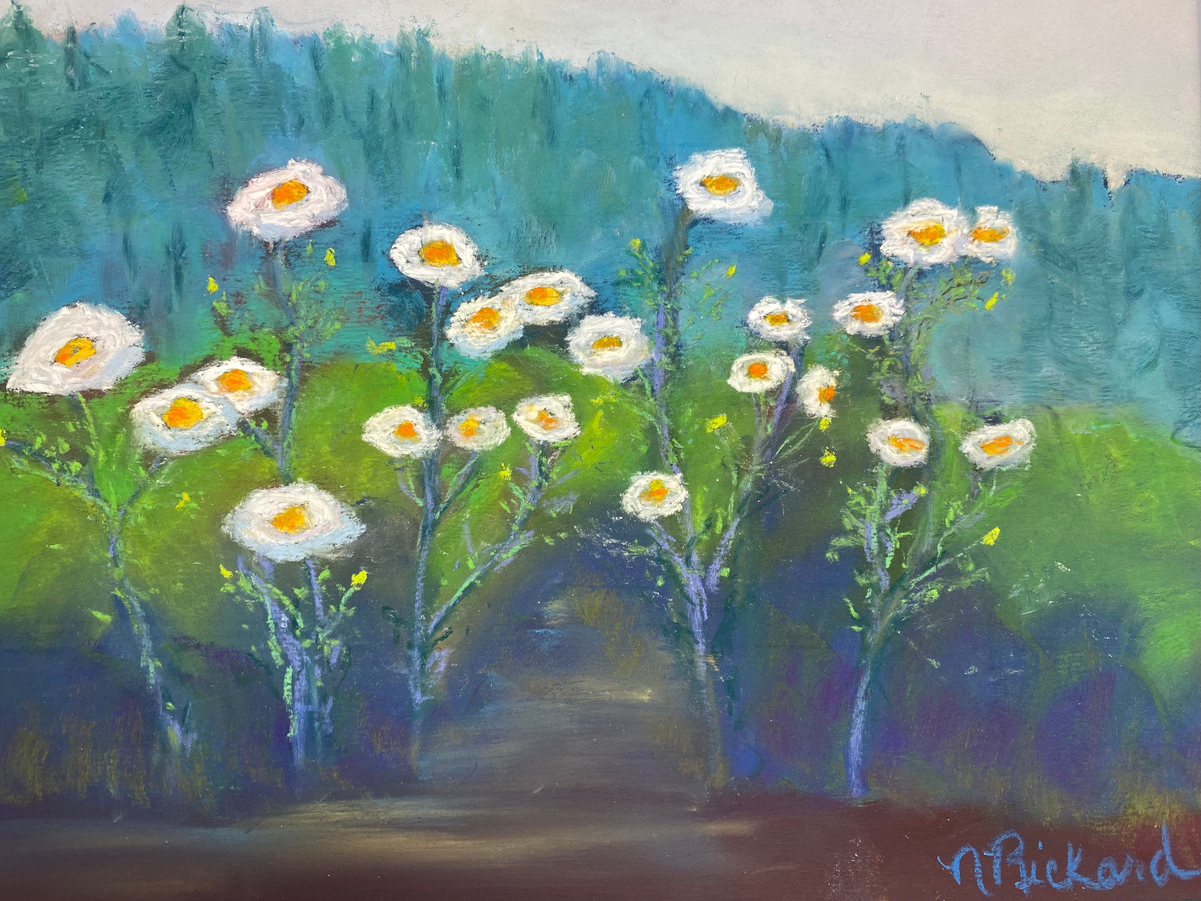 "MATILIJA POPPIES" by Nancy Rickard – Humboldt Botanical Garden