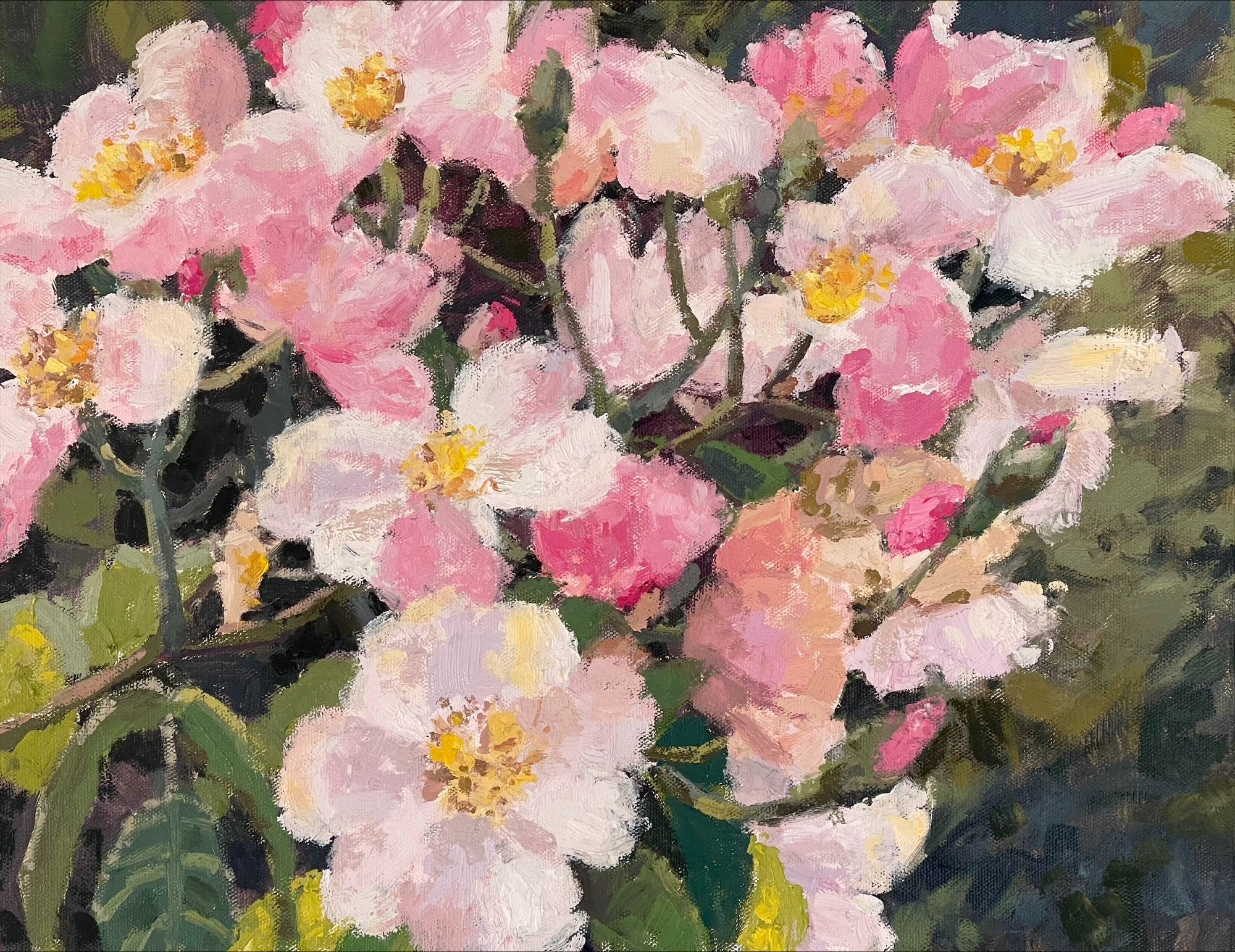 "ROSES" by Andrew Daniel – Humboldt Botanical Garden